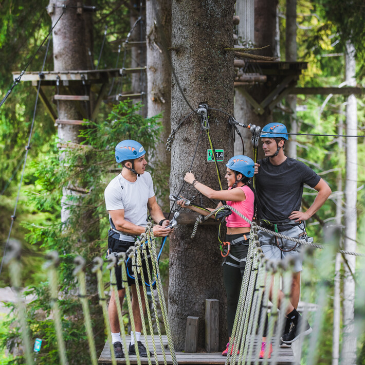 The largest High Rope Park of europe | Infrastructure