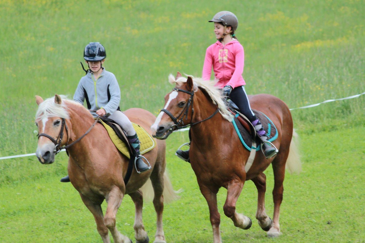 Horse riding Unter-schwarzachhof | Infrastructure in Saalbach