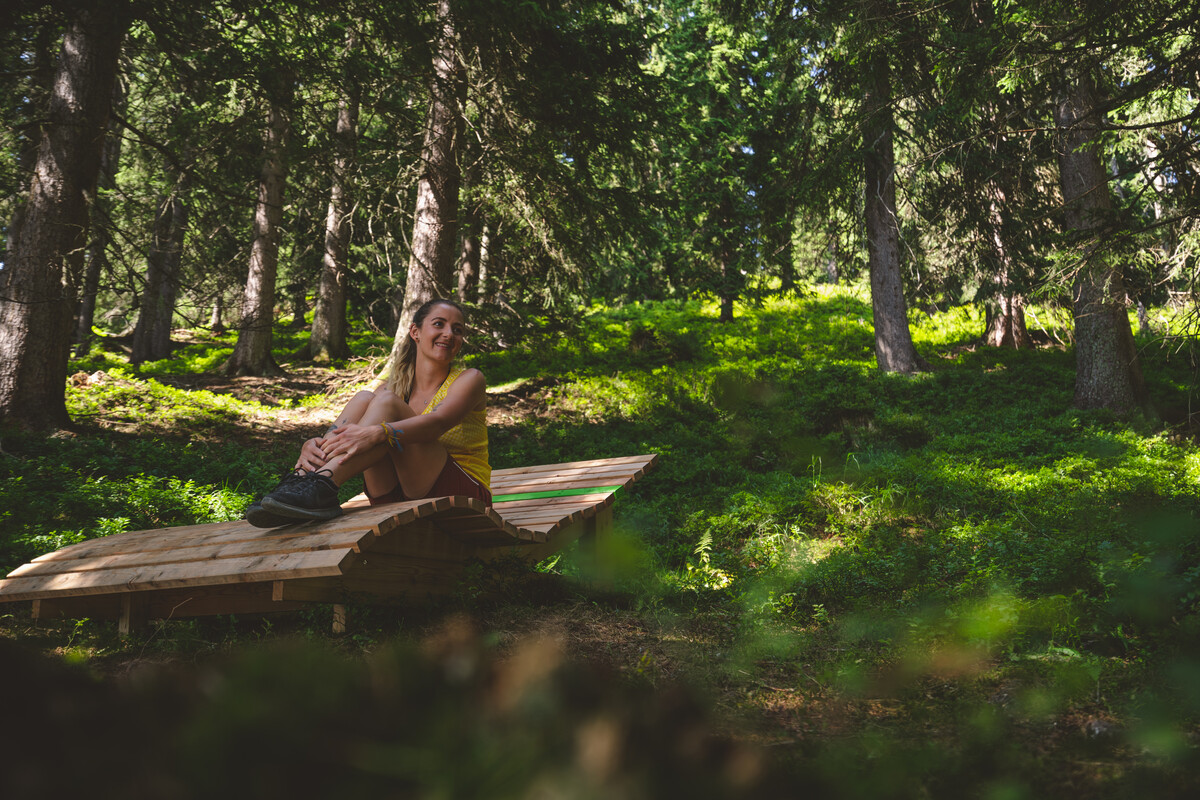 Forest Wellness