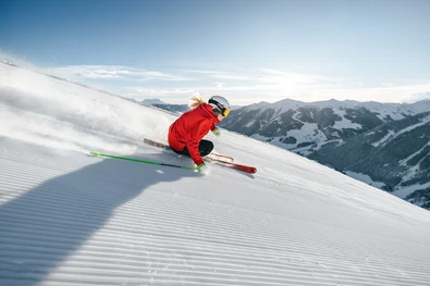 Alpin ski store